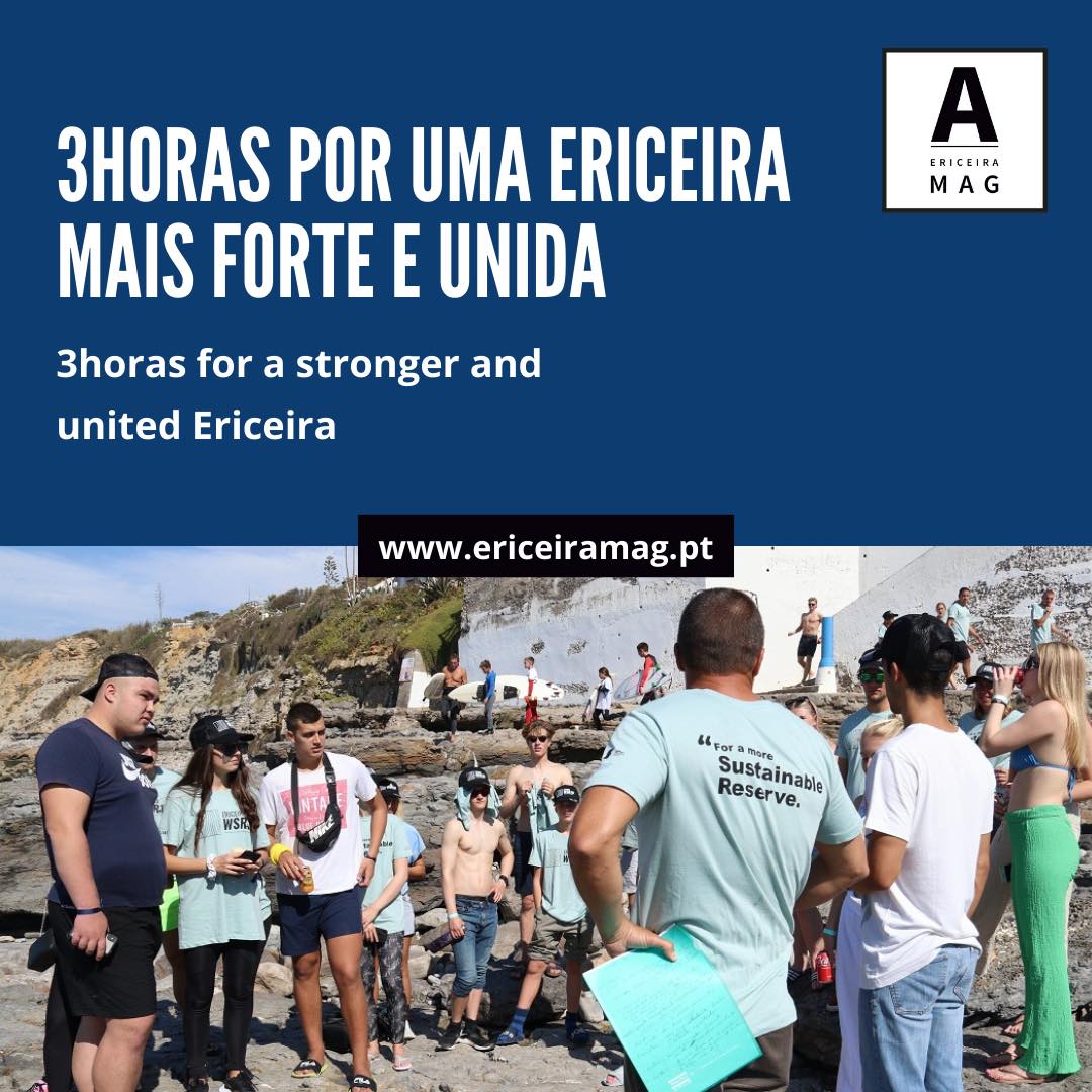 Mr. Ouriço, the cake - AZUL-ERICEIRA MAG | O melhor da EriceiraAZUL ...