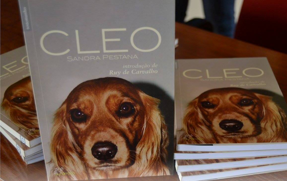 "Cleo": um livro que conquista corações e ajuda patudos - AZUL-ERICEIRA ...